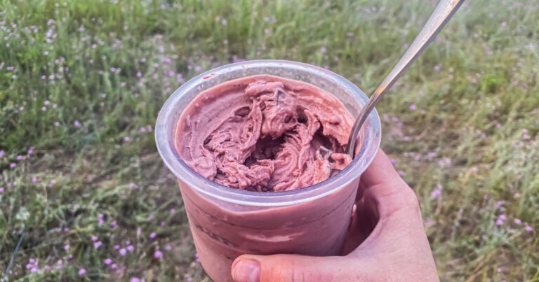 15 Chocolate Creami Ice Cream Recipes That Take Indulgence to the Next ...